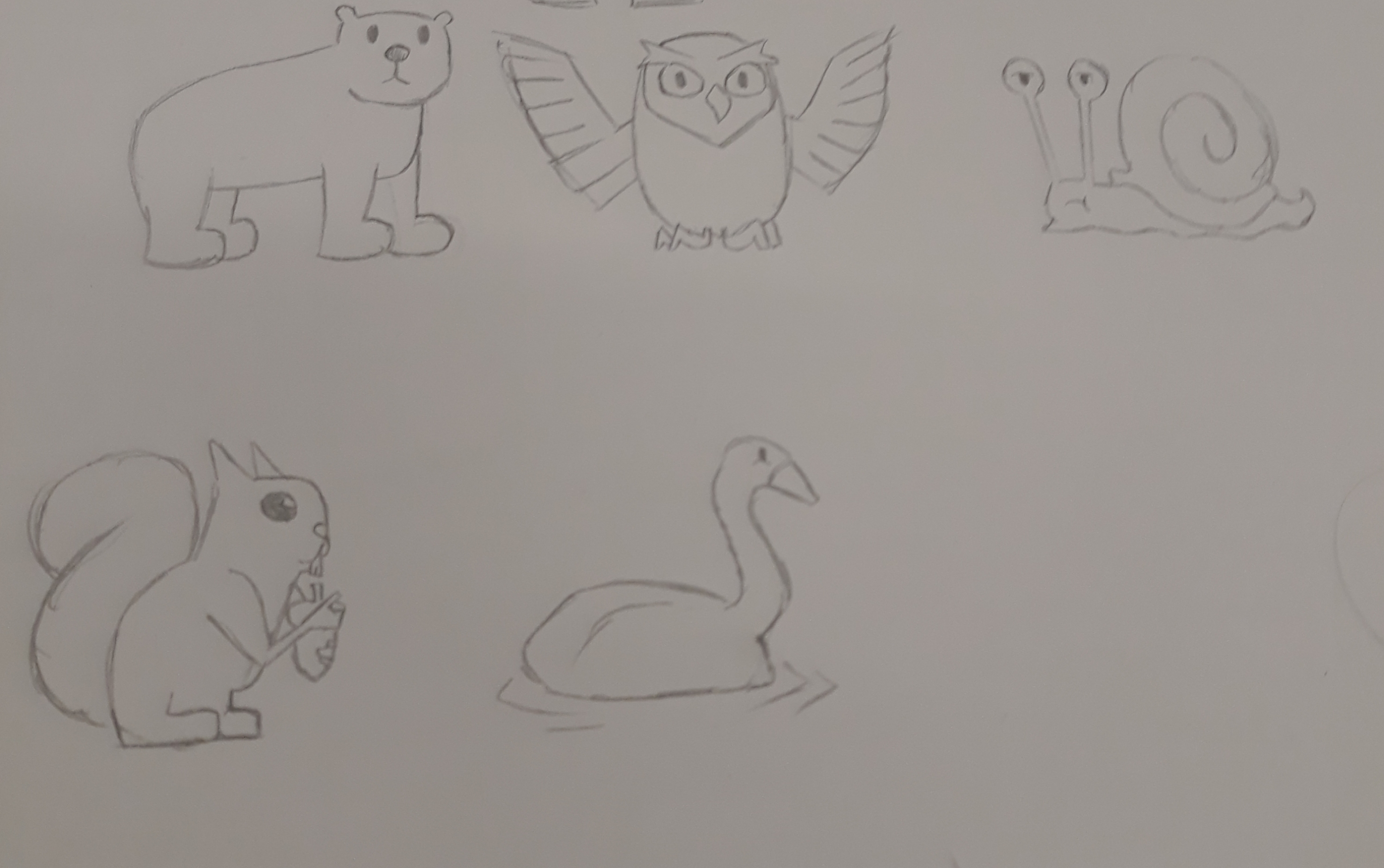 Edward Roche – Climate Chase